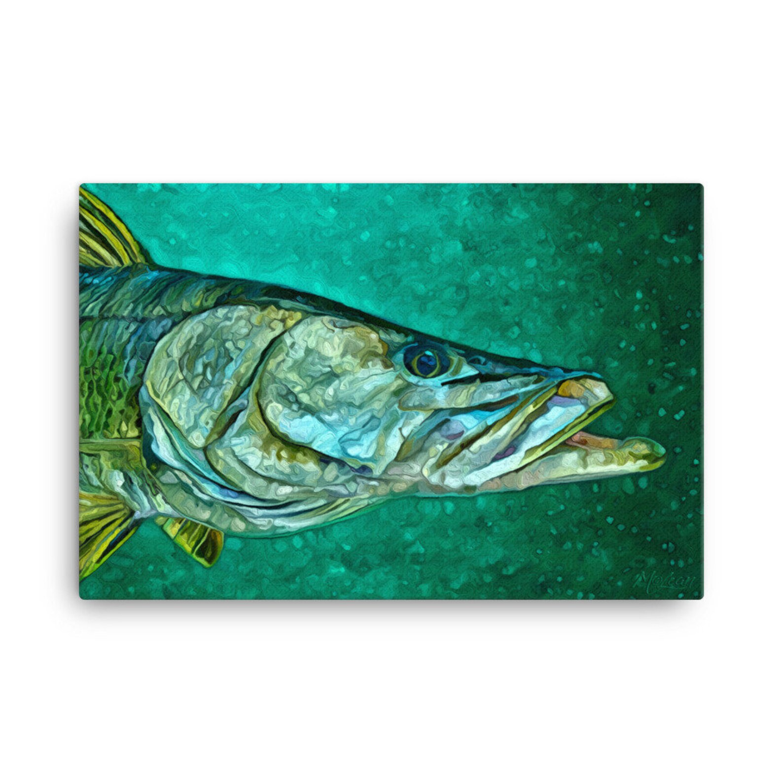 SNOOK Fish Inshore Fine Art Canvas Giclee Print - Florida Everglades ...