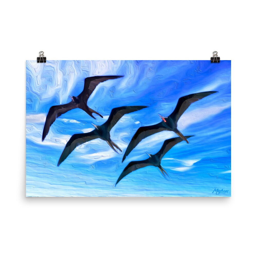 FRIGATE BIRD Fine Art Canvas Giclee Print - Florida Everglades Wildlife ...