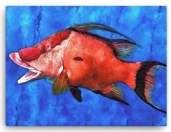 Art Objects Art & Collectibles Sculpture Hogfish Wallart etna.com.pe