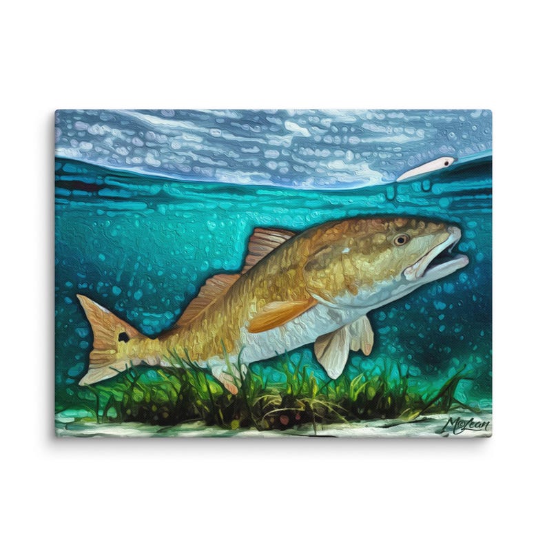REDFISH (red Drum) Ocean Fish Wall Art Print - Fishing Wildlife Gifts ...