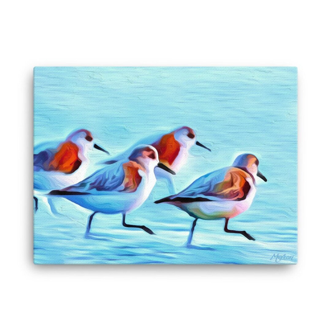 SANDPIPER Bird Fine Art Canvas Giclee Print - Florida Everglades ...