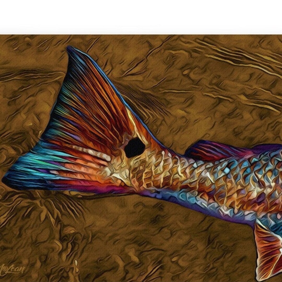 REDFISH red Drum Ocean Fish Wall Art Print Fishing - Etsy
