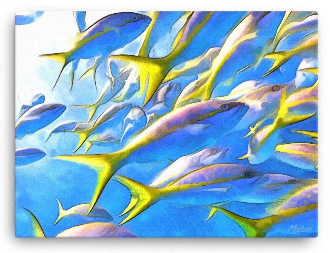 YELLOWTAIL SNAPPER Tropical Fish Fine Art Canvas Giclee Print - Florida ...