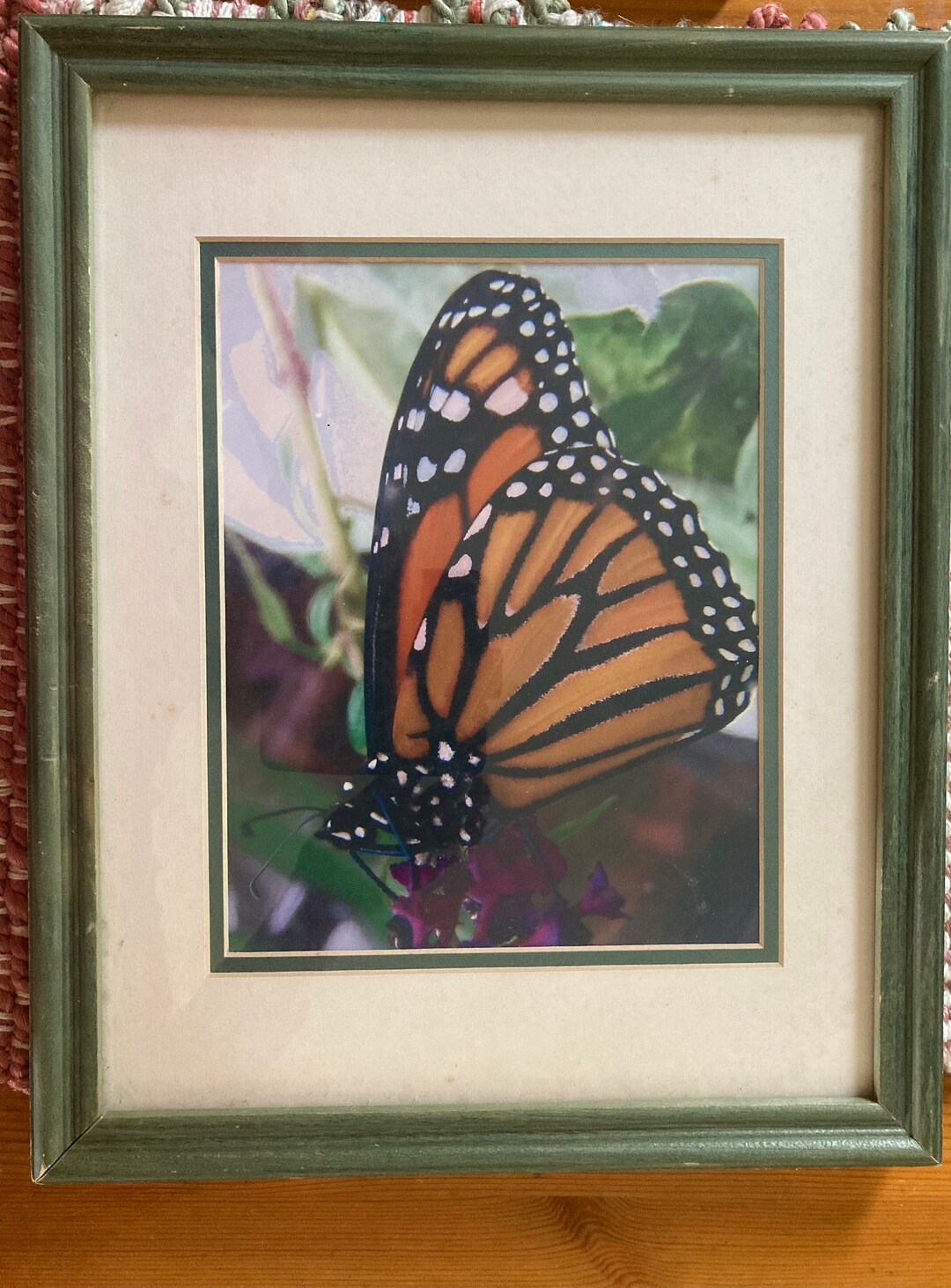 Monarch Butterfly Puddling - Etsy