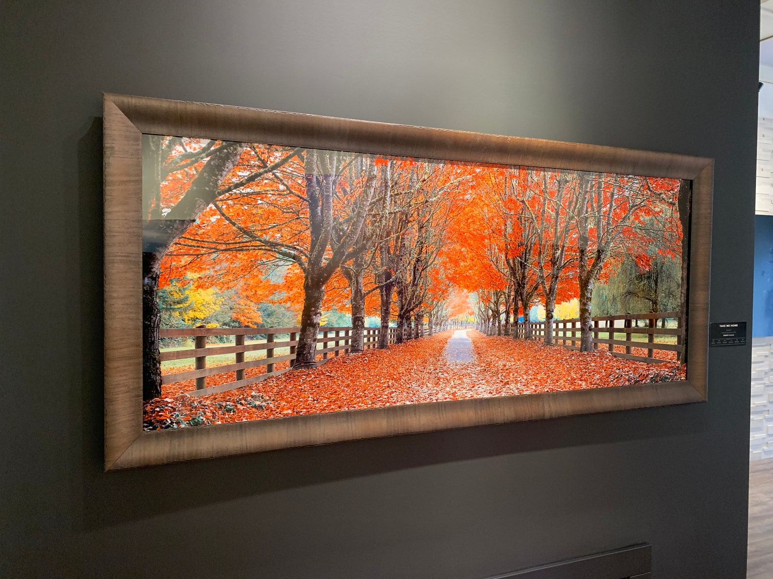 Take Me Home - Jeff Walker Luxury Fine Art - Limited Edition Aluminum ...