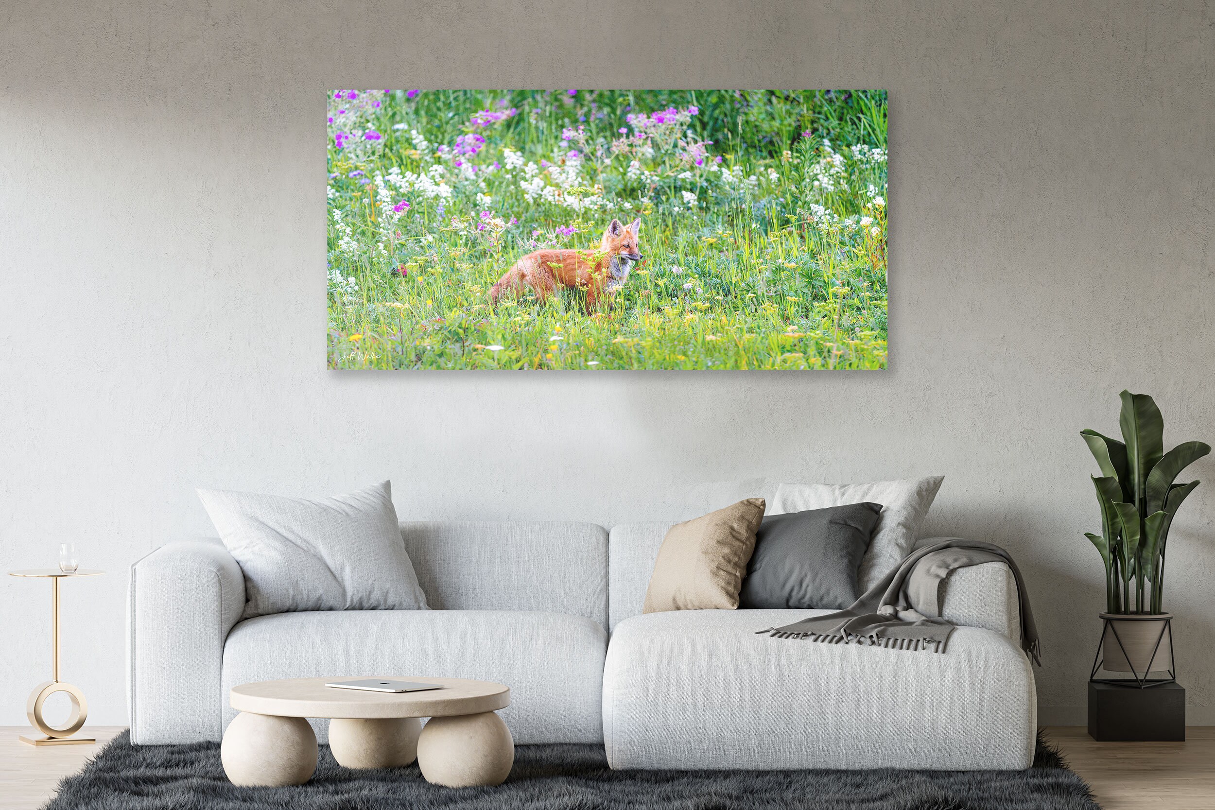 Flora & Fauna - Jeff Walker - Luxury Fine Art - Limited Edition ...