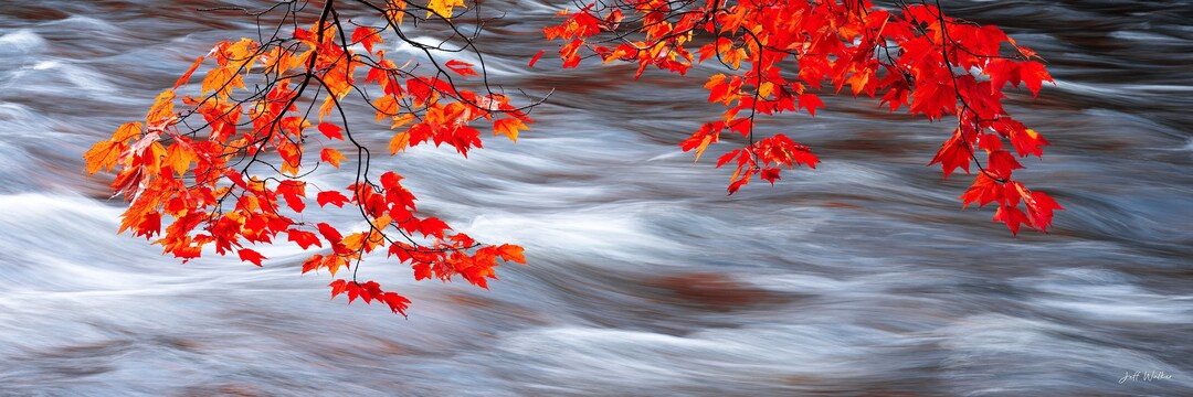 Autumn Rush - Jeff Walker Luxury Fine Art - Limited Edition Aluminum ...