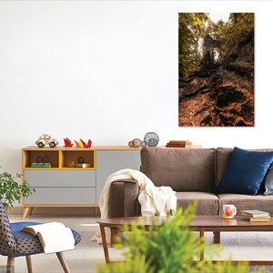 Crossroad to Bezdez Castle -czech Republic - Wall Art. Pleasant Golden ...