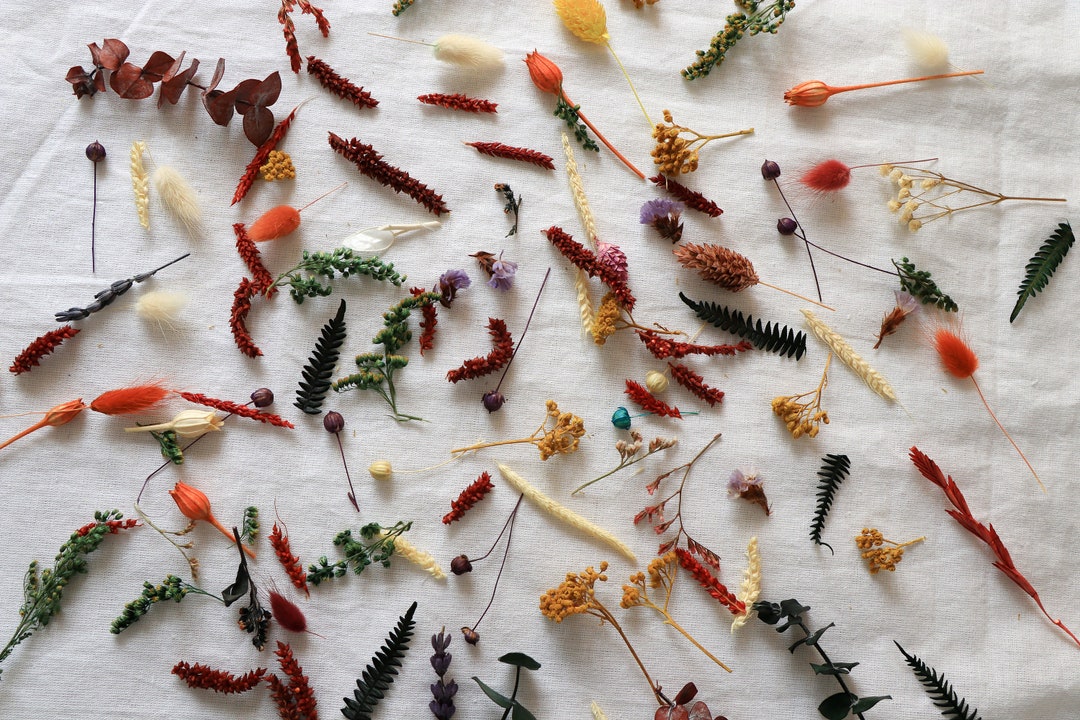 100 G Dried Flower Mix, Dried Flowers for Resin, Preserved Dried ...