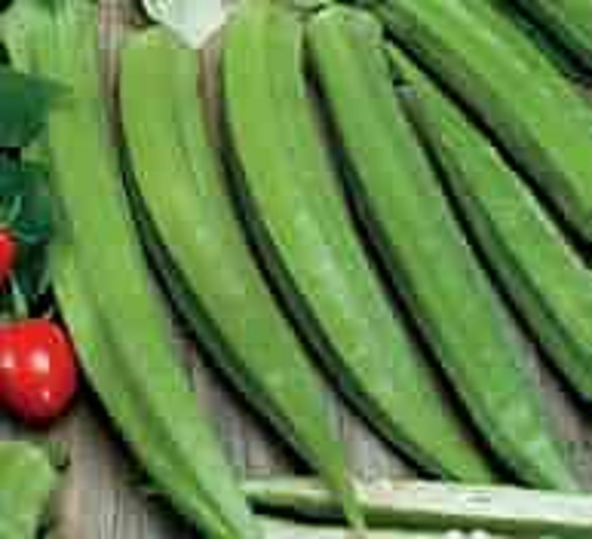 Essential Vegetable Seed Kit 9 Varieties Fast Shipping - Etsy