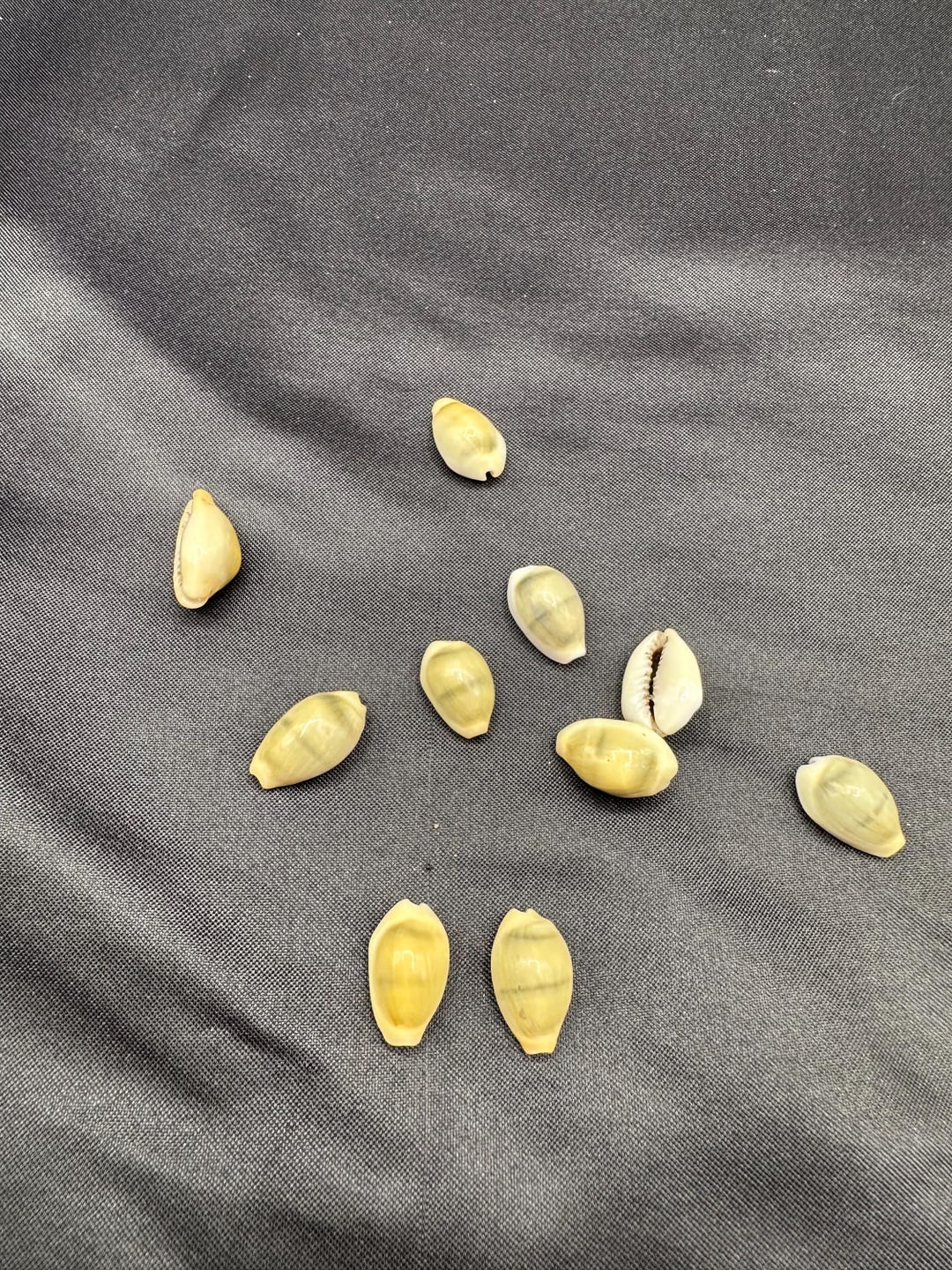 Gomati Chakralu/ Lakshmi Gavval/ Puja Item/ Prayer/ God Stuff/ Mandir ...