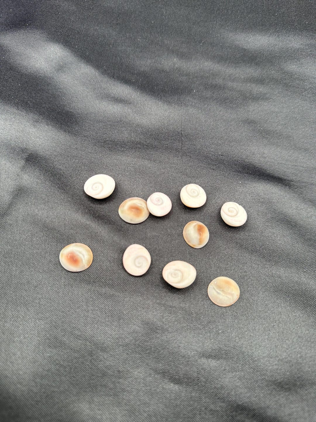 Gomati Chakralu/ Lakshmi Gavalu/ Puja Item/ Prayer/ God Stuff/ Mandir ...