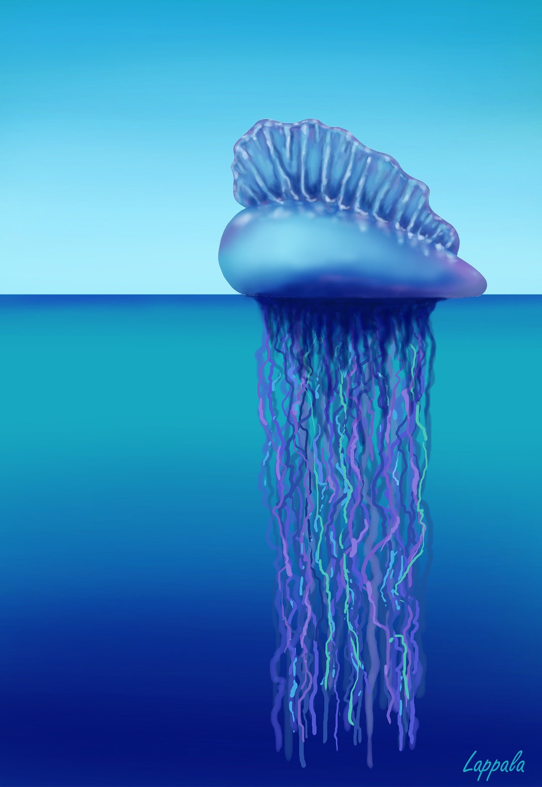 Portuguese Man O War Print - Etsy