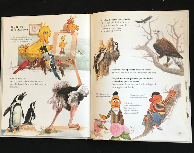 Sesame Street Question & Answer Book About Animals by Rae - Etsy