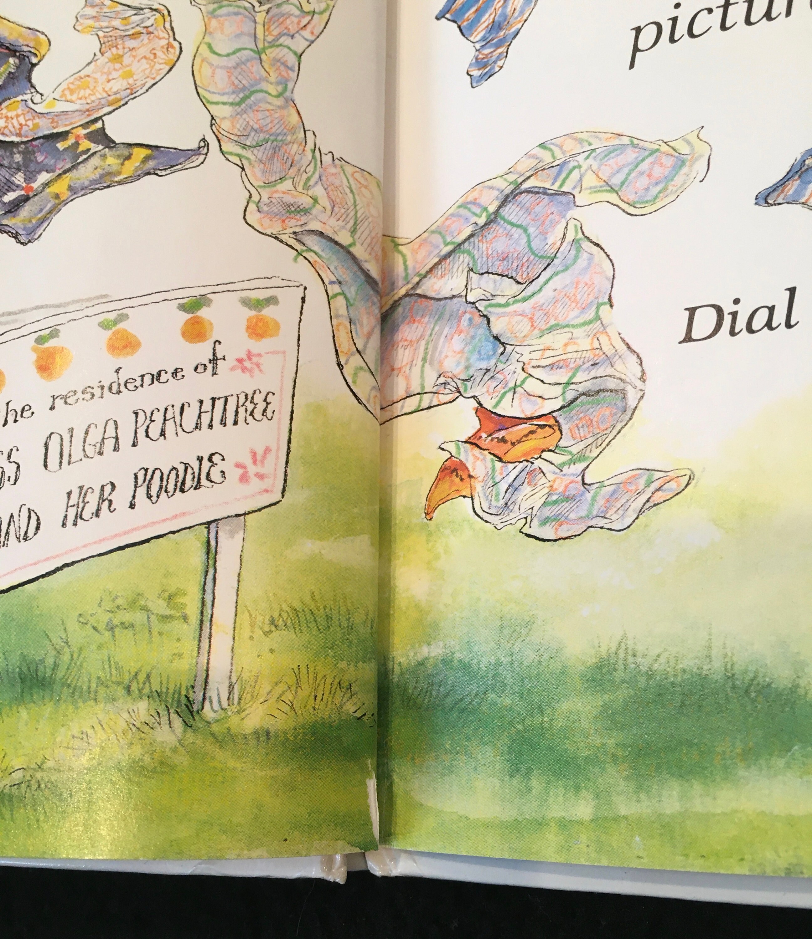 Jimmy’s Boa and the Big Splash Birthday Bash by Trinka Hakes Noble ...