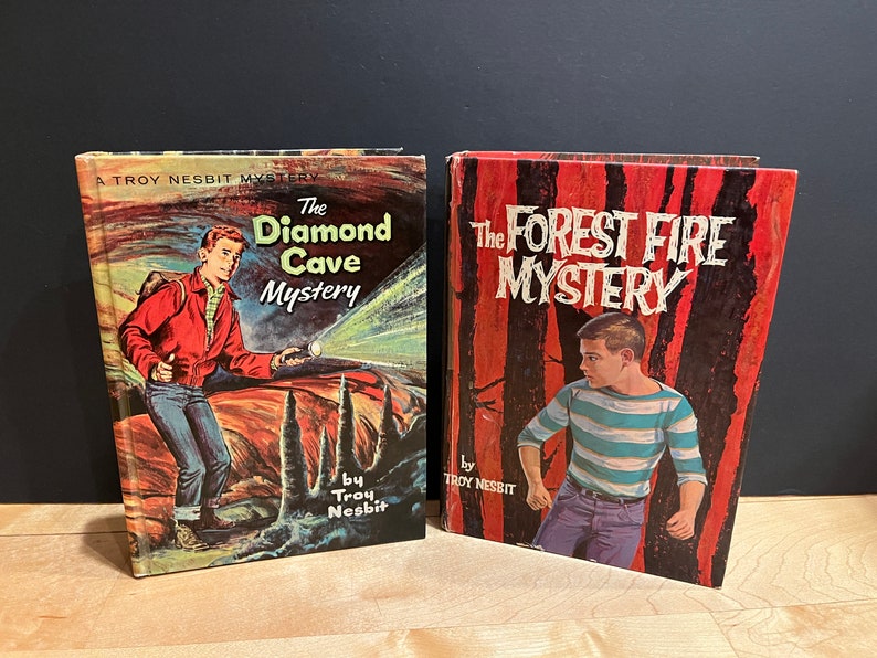 The Diamond Cave Mystery 1964 or the Forest Fire Mystery - Etsy