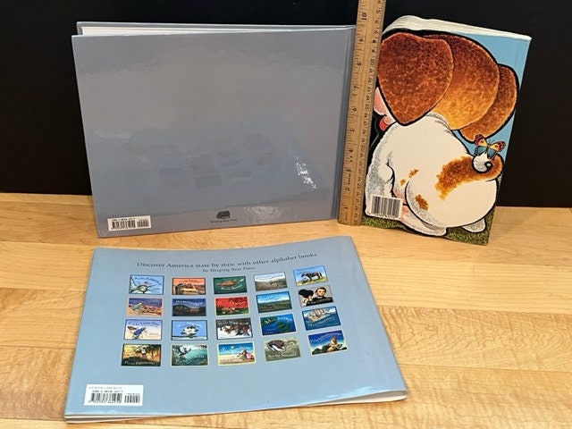 V is for Viking – A Minnesota Alphabet by Kathy-jo Wargin, 2003 or the ...