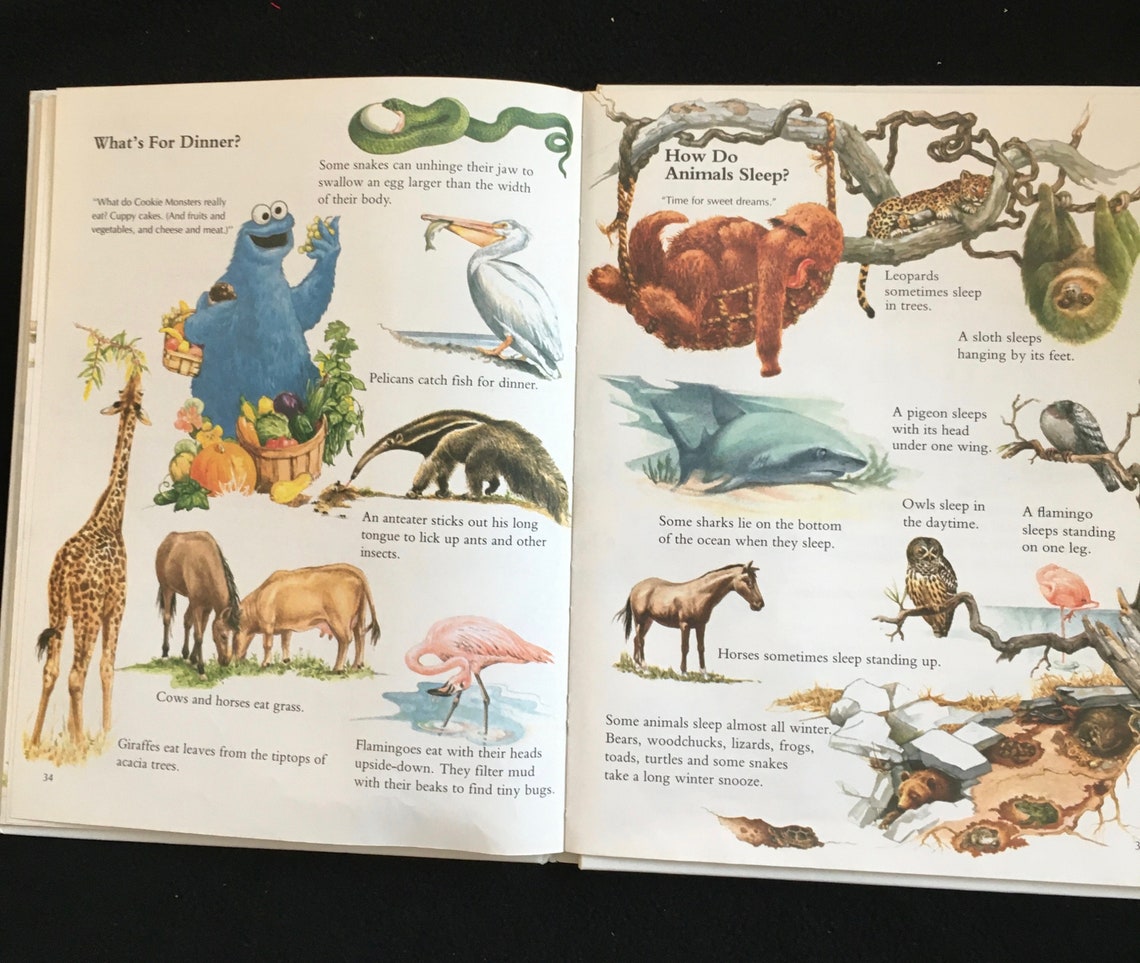 Sesame Street Question & Answer Book About Animals by Rae - Etsy