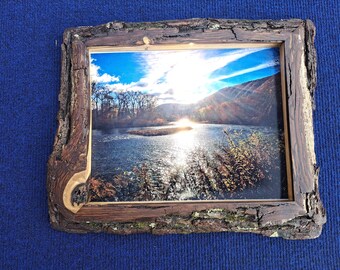 Bark Edge Picture Frame - Etsy
