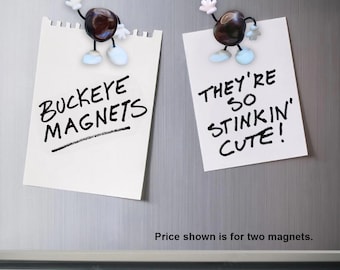 Real Buckeye Magnets - Ohio State Fan Gift, Set of 4 - Etsy
