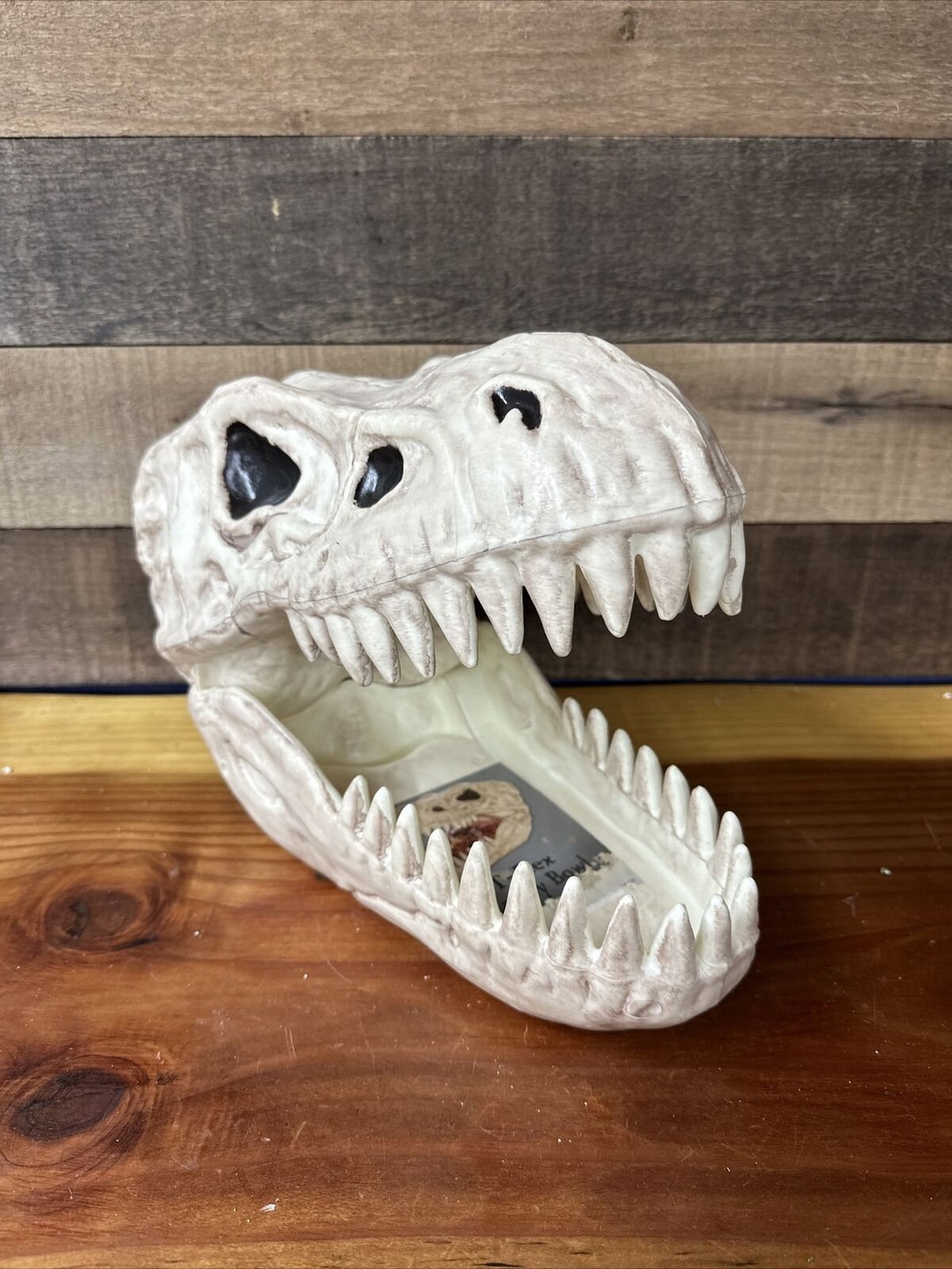 T Rex Skull Candy Bowl Seasons USA Halloween Prop Decor Dinosaur 12 ...