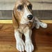 Beagle Dog Hard Plastic Heavy 15” Long and 8” Tall - Etsy