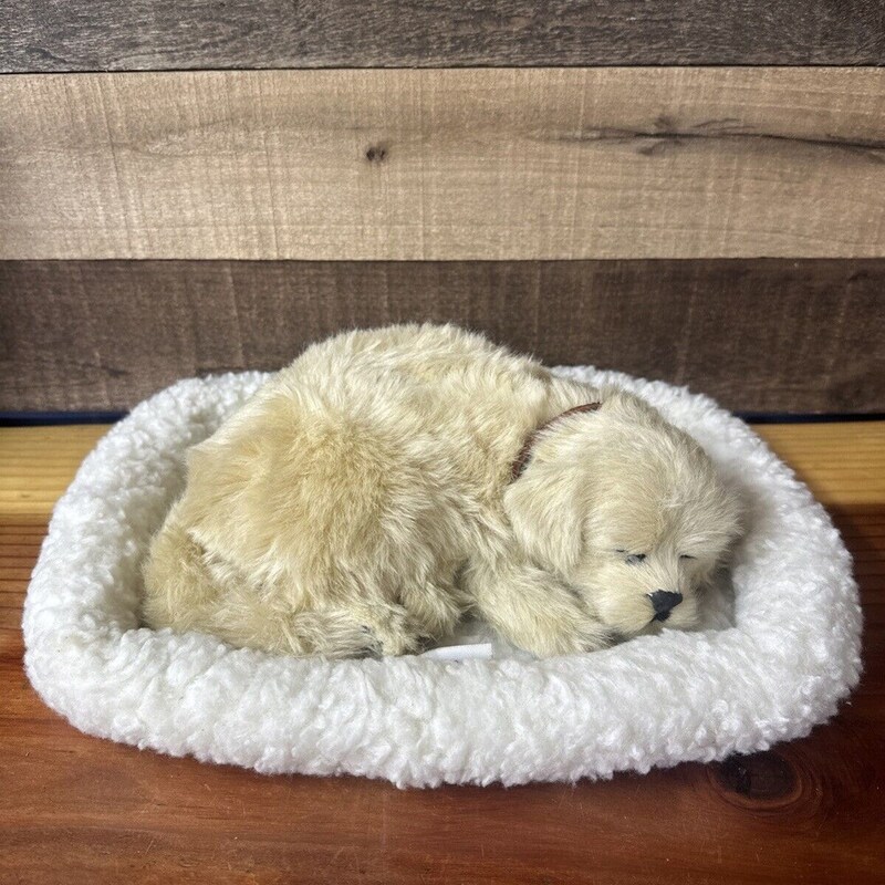 Realistic Stuffed Dogs - Etsy