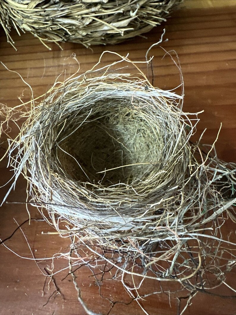 Decorate Display Bird Nests Set of 4 - Etsy