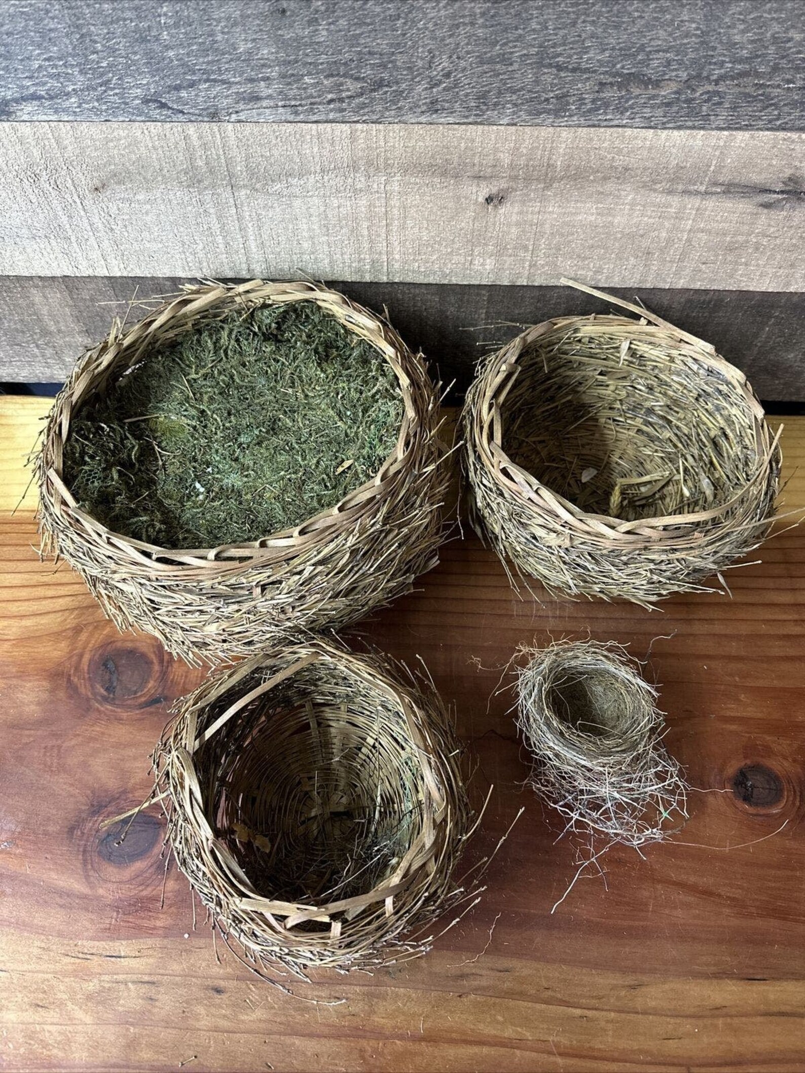 Decorate Display Bird Nests Set of 4 - Etsy