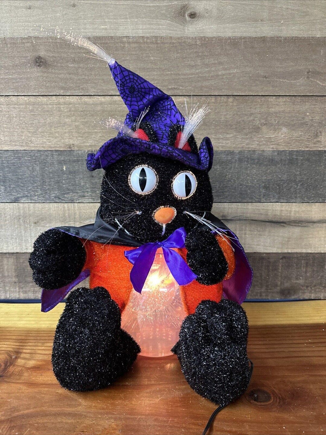 Fiber Optic Black Cat Witch Color Changing in Box 16” - Etsy