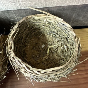 Decorate Display Bird Nests Set of 4 - Etsy