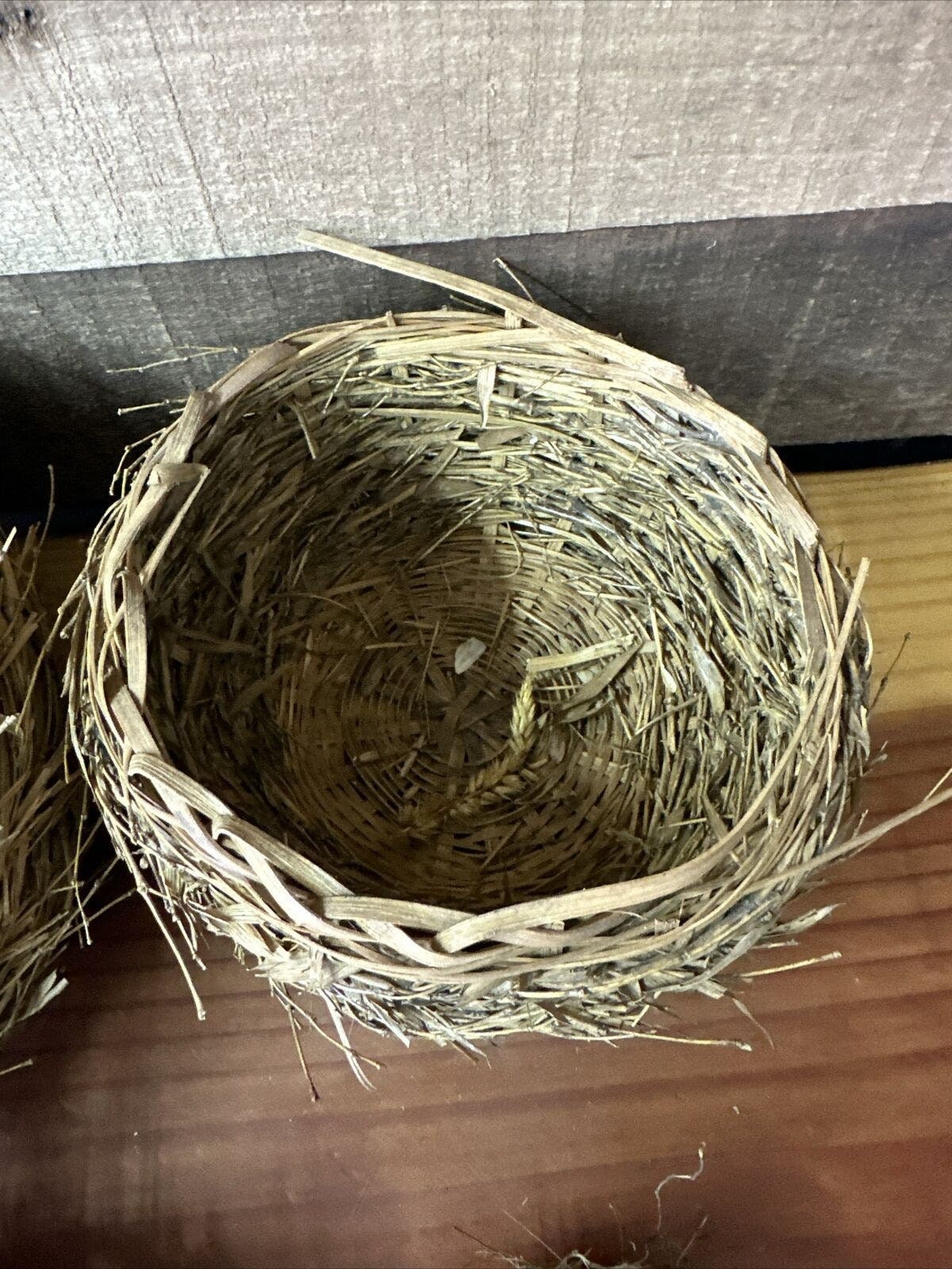 Decorate Display Bird Nests Set of 4 - Etsy