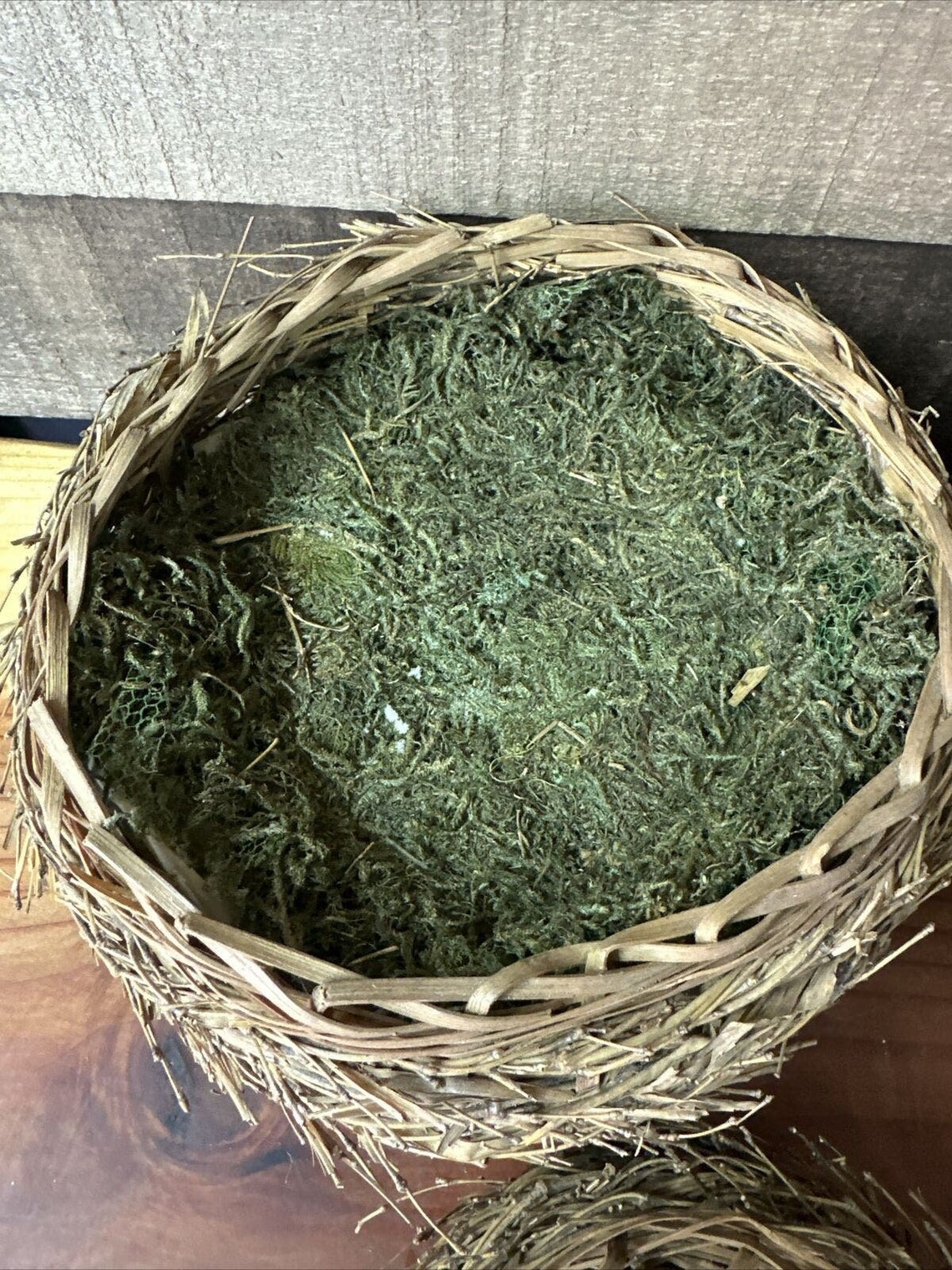 Decorate Display Bird Nests Set of 4 - Etsy