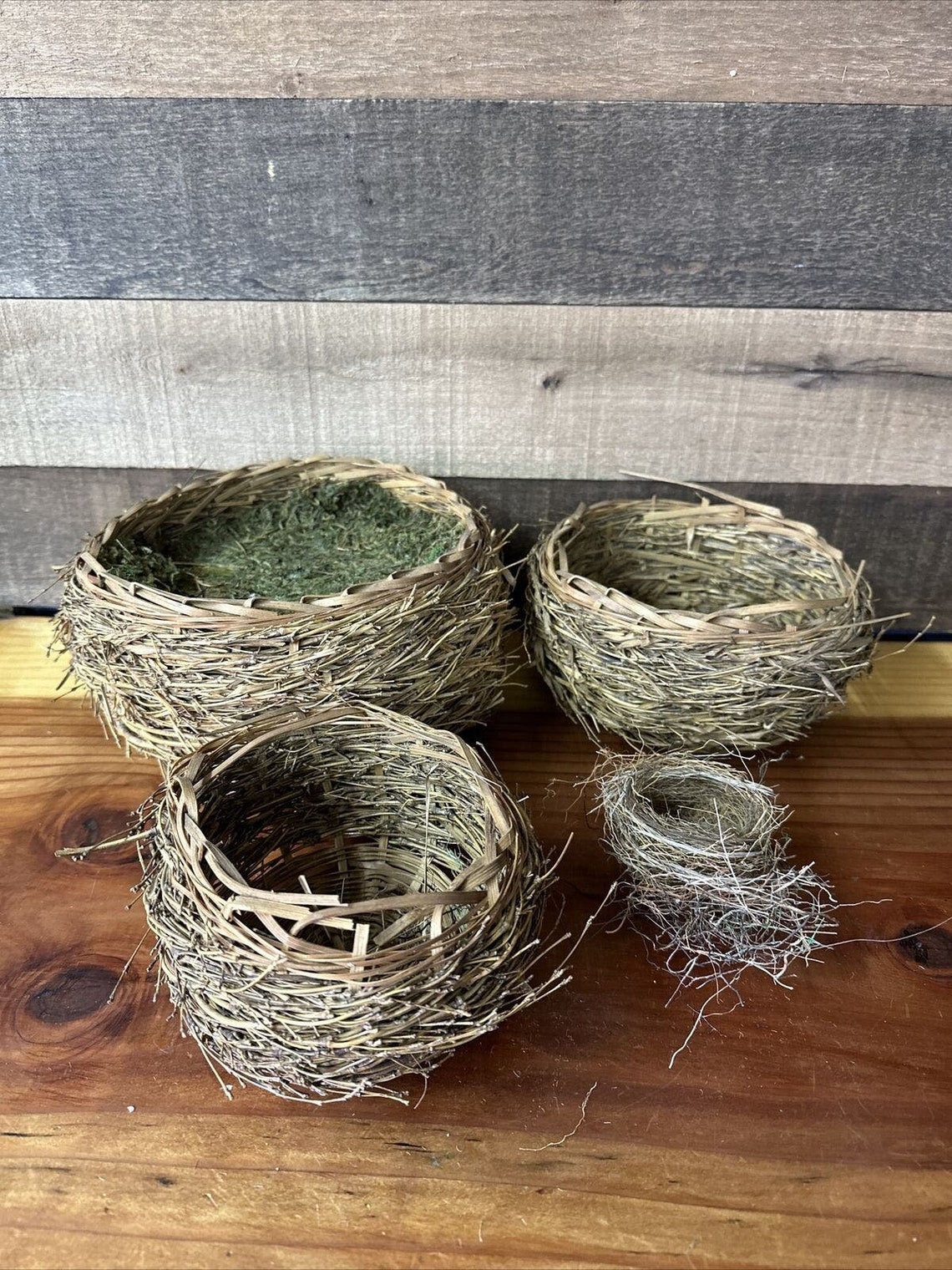 Decorate Display Bird Nests Set of 4 - Etsy