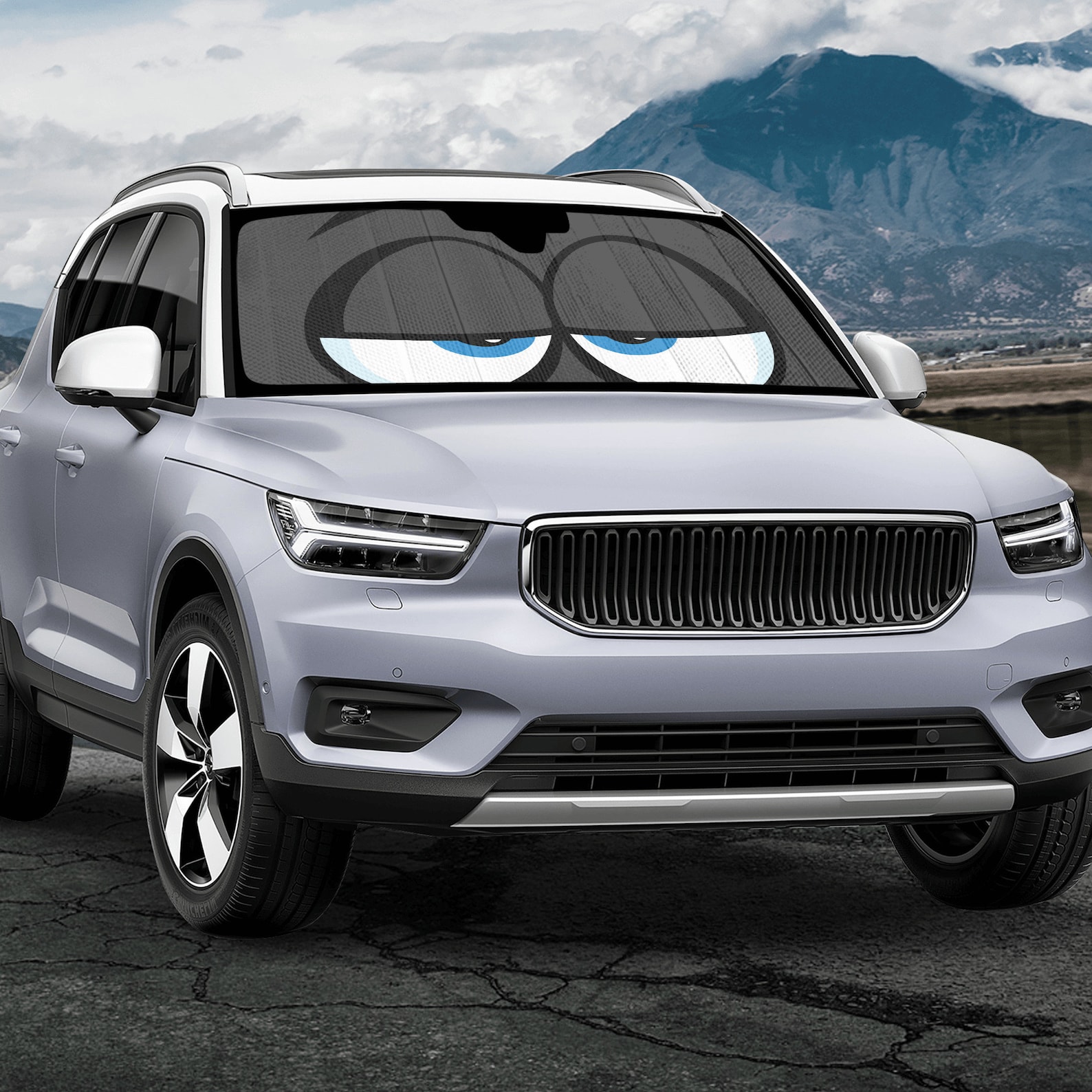 Big Eyes Funny Expressions Custom Car Windshield Protector, Custom Car ...