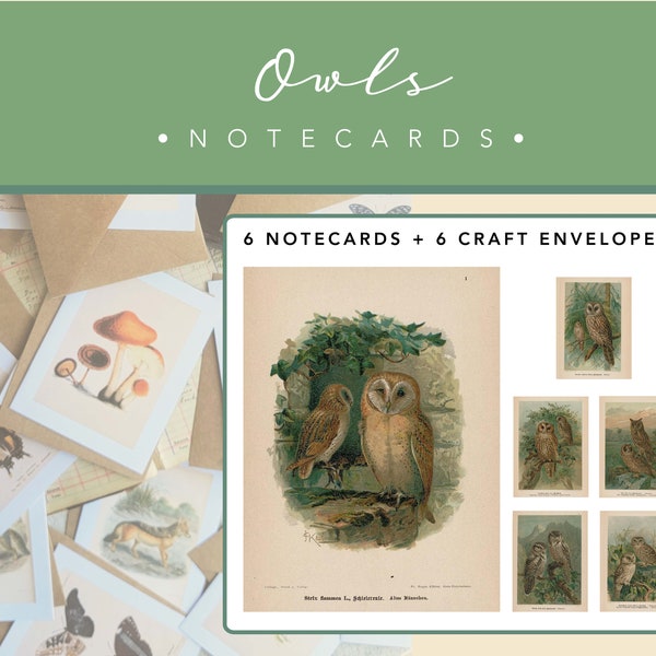 Vintage Owl Cards - Etsy