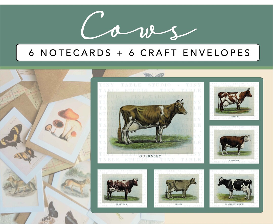 6pk Cow Notecards 6 Cards 6 Envelopes - Etsy
