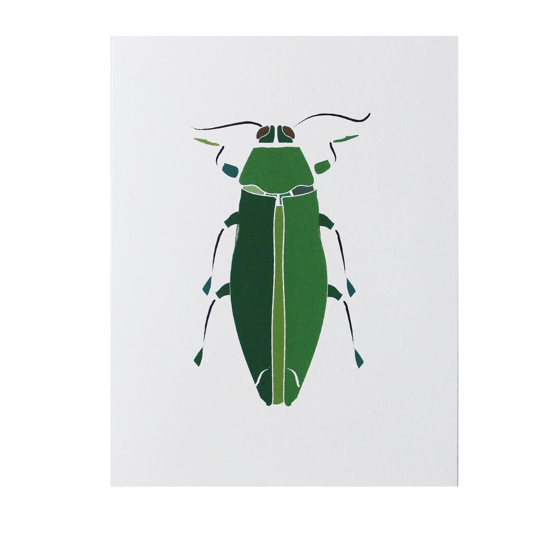 Japanese Jewel Beetle Card - Fun Greeting Card - Bugs - Etsy