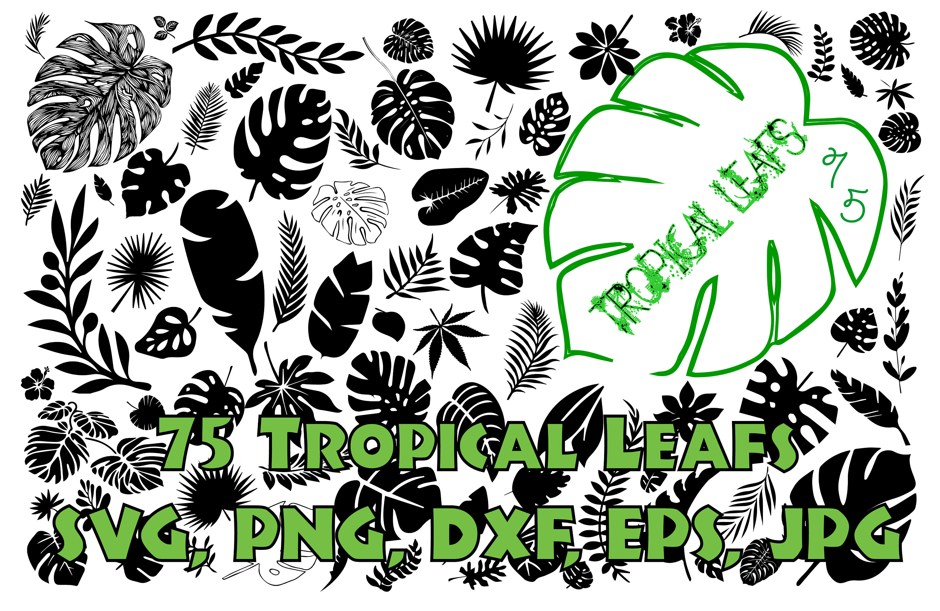 TROPICAL LEAFS BUNDLE Svg Tropical Leaves Svg Palm Leaves | Etsy