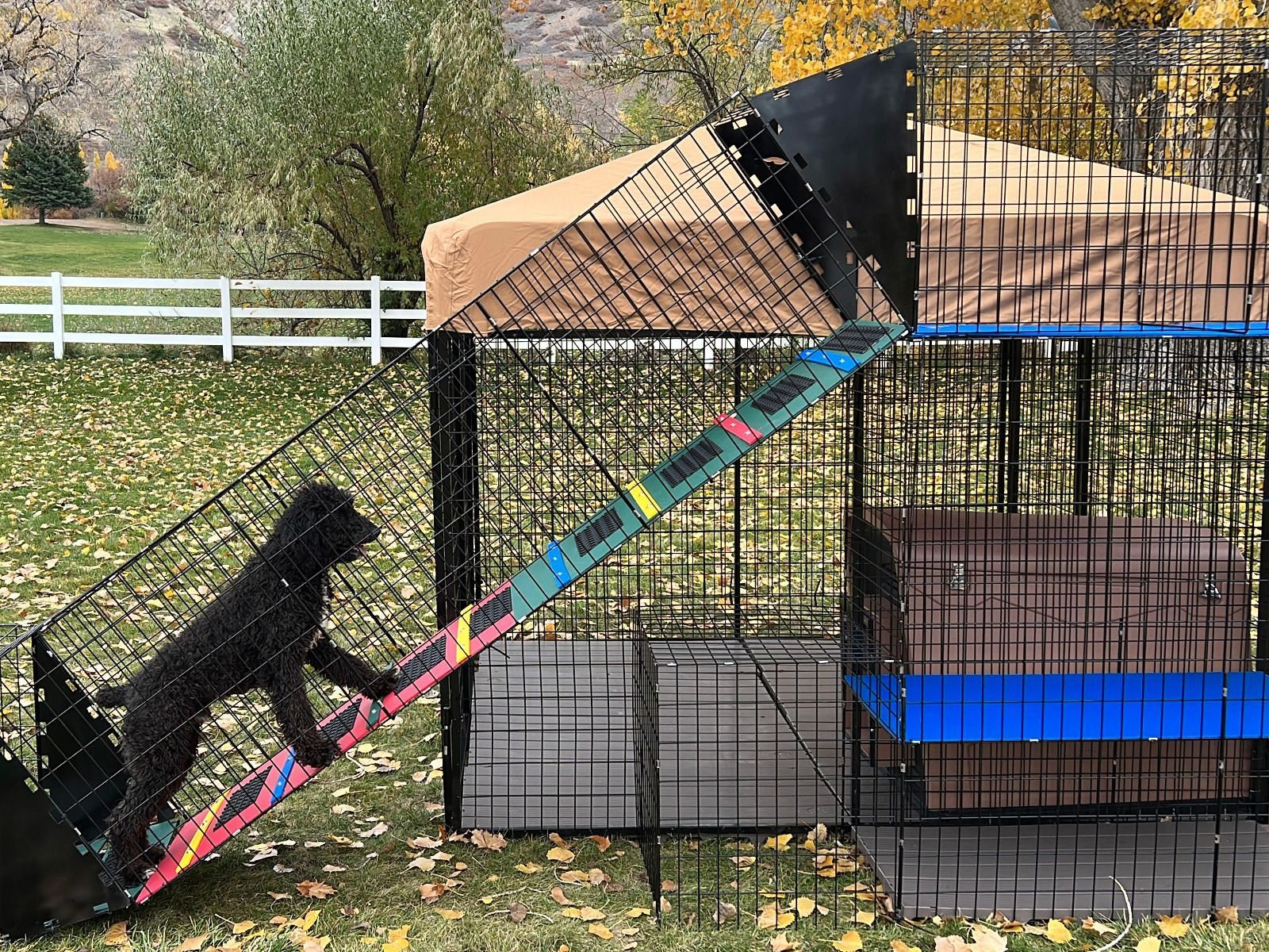 8' X 8' Welded Wire Kennel With Grand Ramp & Platform Maze - Etsy