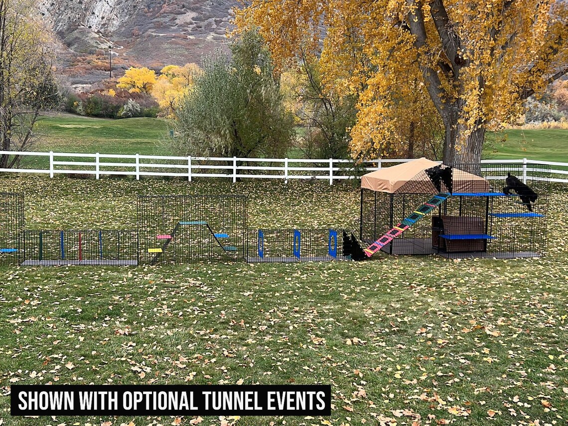 8' X 8' Welded Wire Kennel With Grand Ramp & Platform Maze - Etsy