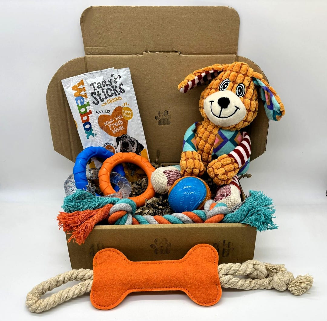 Happy Pup Surprise Box - Adorable Plush Dog & Chew Toys Gift Set for ...