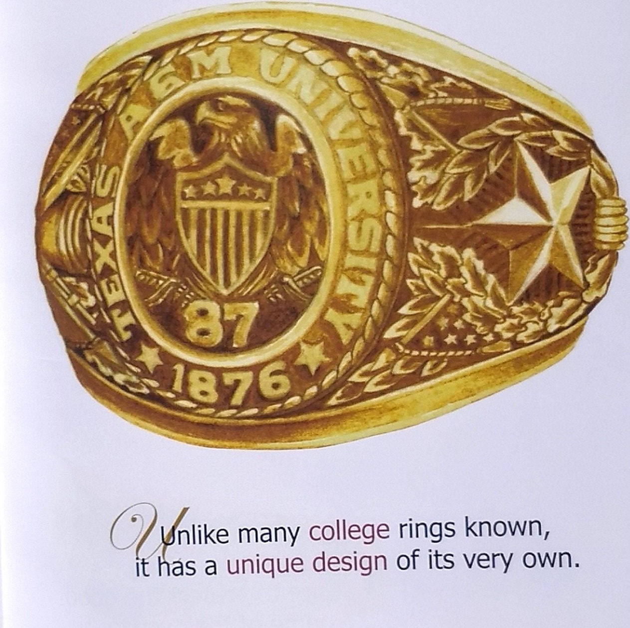 A Treasure to Keep: an Aggie Book for All Ages - Etsy