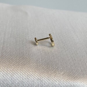 Apple Piercing, Apple Earring, Conch Piercing, Helix Piercing, Tragus ...