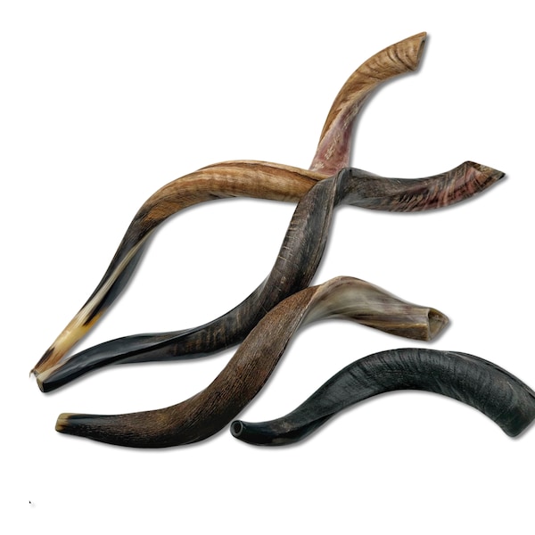 Shofar - Etsy