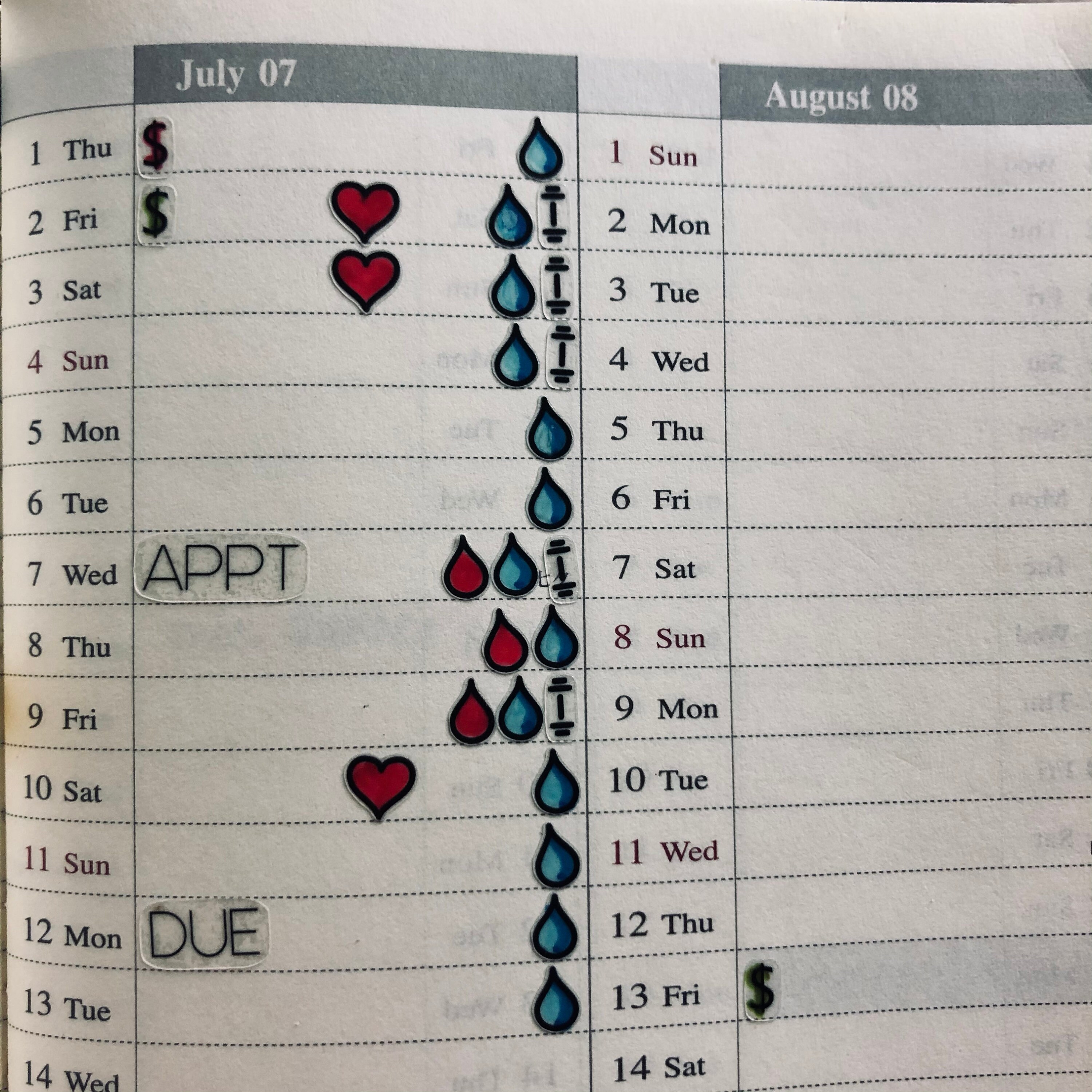 Clear mini due date stickers for any size planner and - Etsy 日本