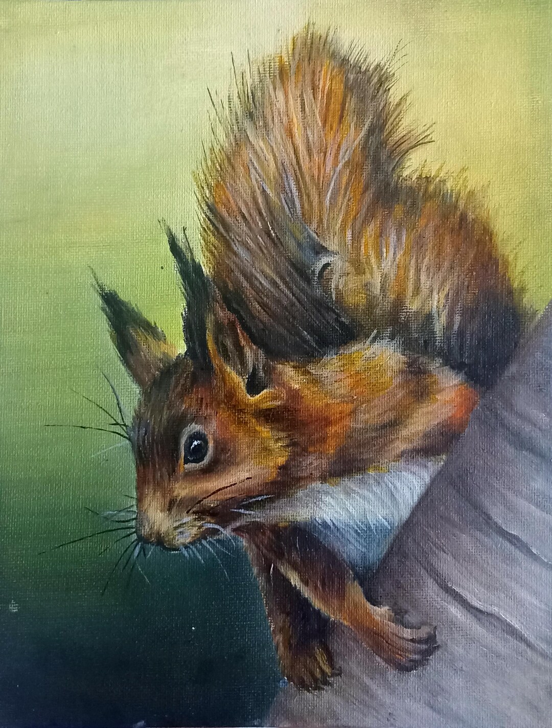 Bushy Tailed Squirrel. Original Oil Painting on Canvas Board. 250x300mm ...