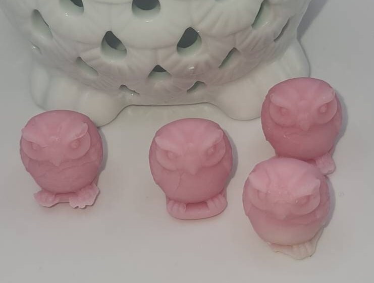 3D Owl Mini Wax Melt / Soy Wax Melt Scoopies Pure Sirona - Etsy