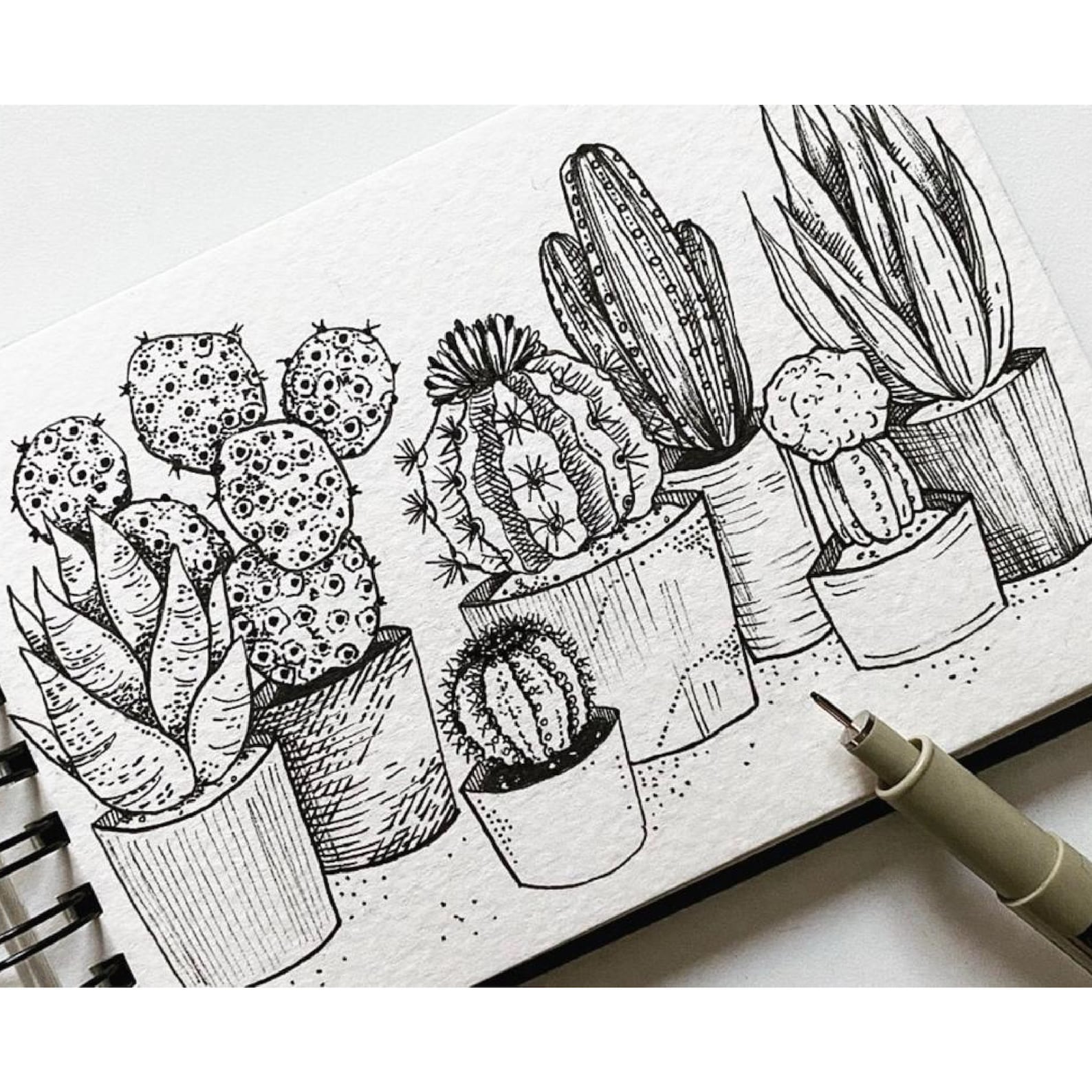 Potted Plants Pencil Drawing Pencil Plants Print House - Etsy