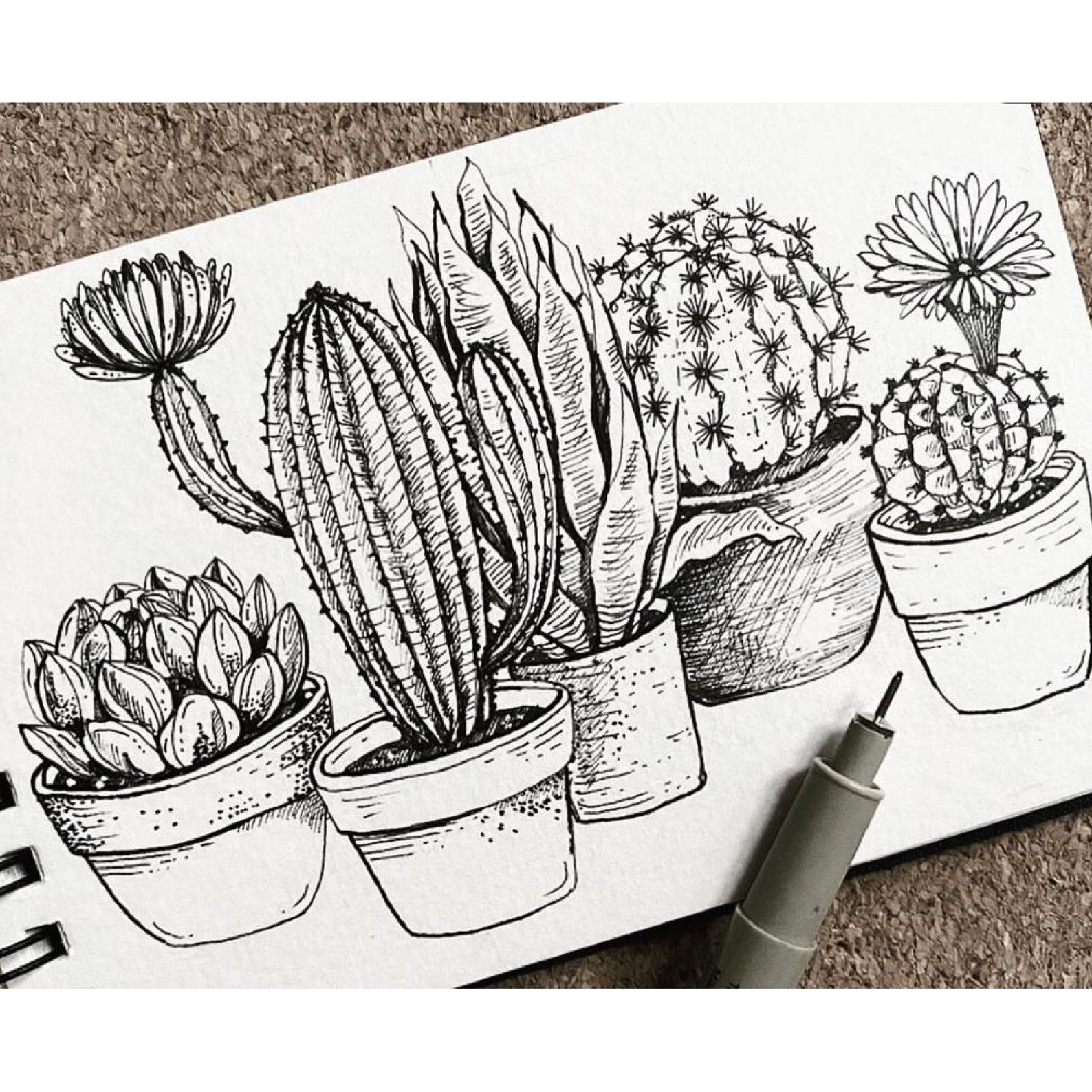 Potted Plants Pencil Drawing Pencil Plants Print House - Etsy